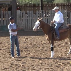 Matt Mills Reining Horses | Team Matt Mills