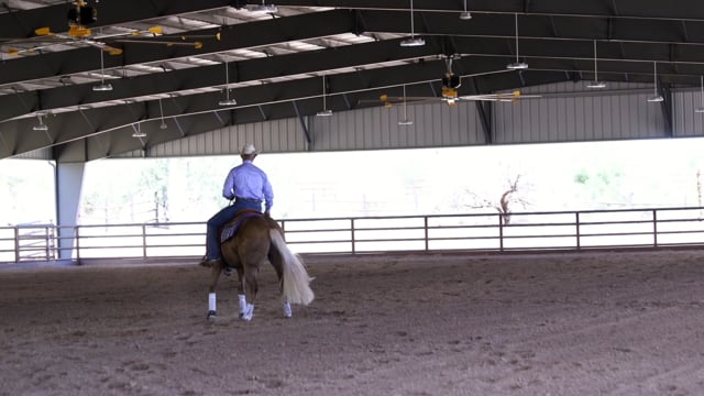 HOW TO PREPARE FOR NRHA PATTERN #15 - Matt MIlls