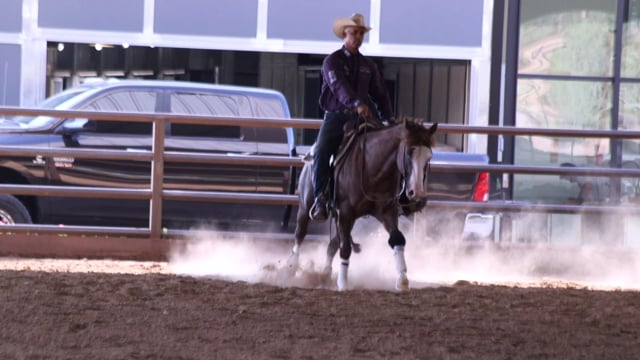 HOW TO PREPARE FOR NRHA PATTERN #13 - Matt MIlls