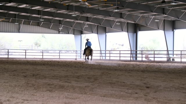 HOW TO PREPARE FOR NRHA PATTERN #3 - Matt MIlls