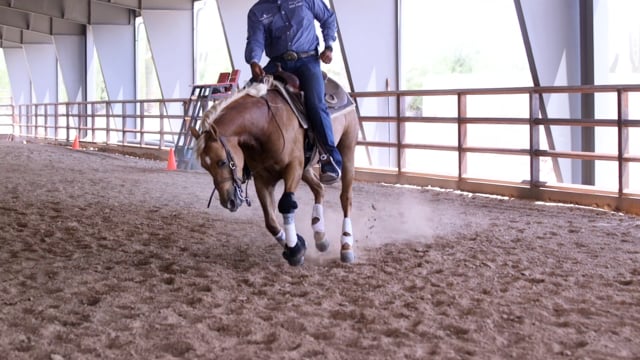 HOW TO PREPARE FOR NRHA PATTERN #7 Part 2 - Matt MIlls