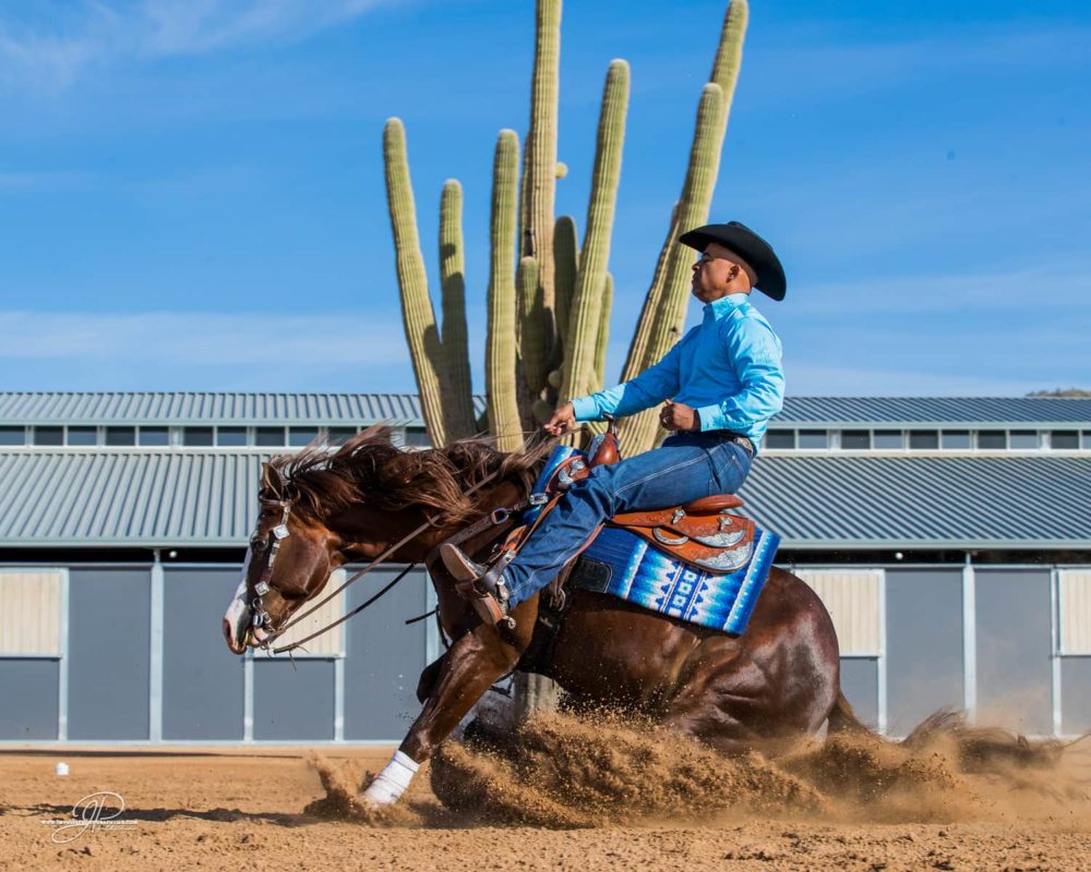 Photo Gallery - Matt MIlls