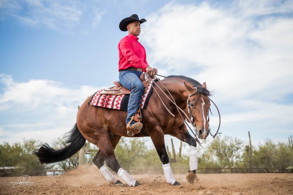 Photo Gallery - Matt MIlls