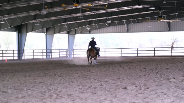Matt Mills - Walking Through Reining Pattern #11 - Matt MIlls