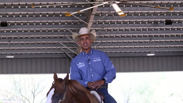 Matt Mills - Walking Through Reining Pattern #8 - Matt MIlls
