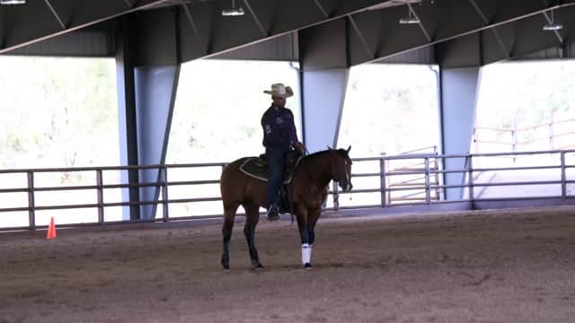 Matt Mills - Walking Through Reining Pattern #12 - Matt MIlls