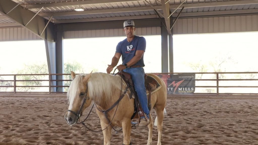 Training Videos - Matt MIlls